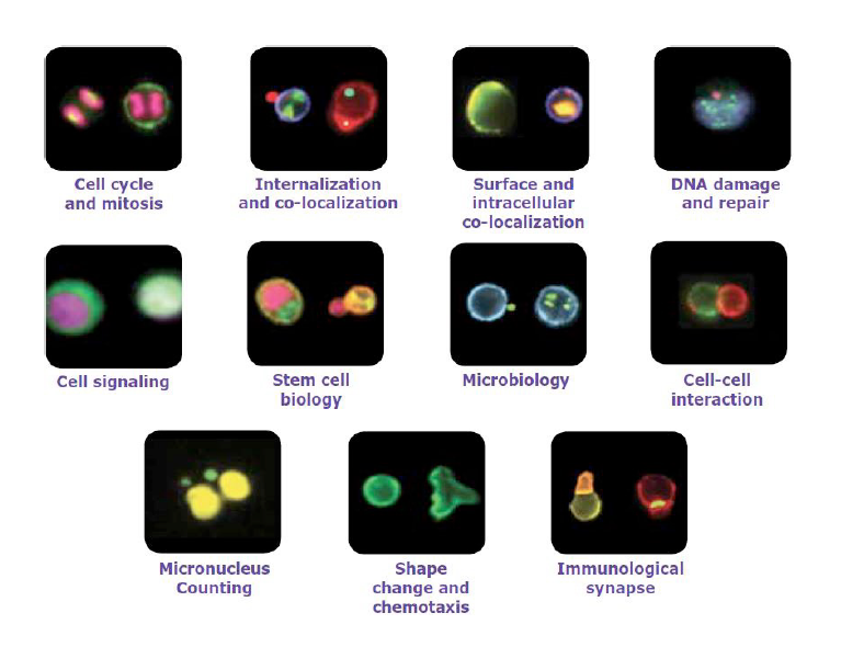 Imaging Cytometry | Flow Cytometry and Imaging